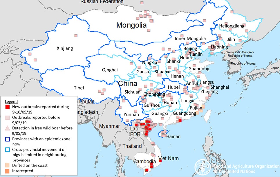 Pikoline - African Swine Fever (ASF) (update 20/5/2019)